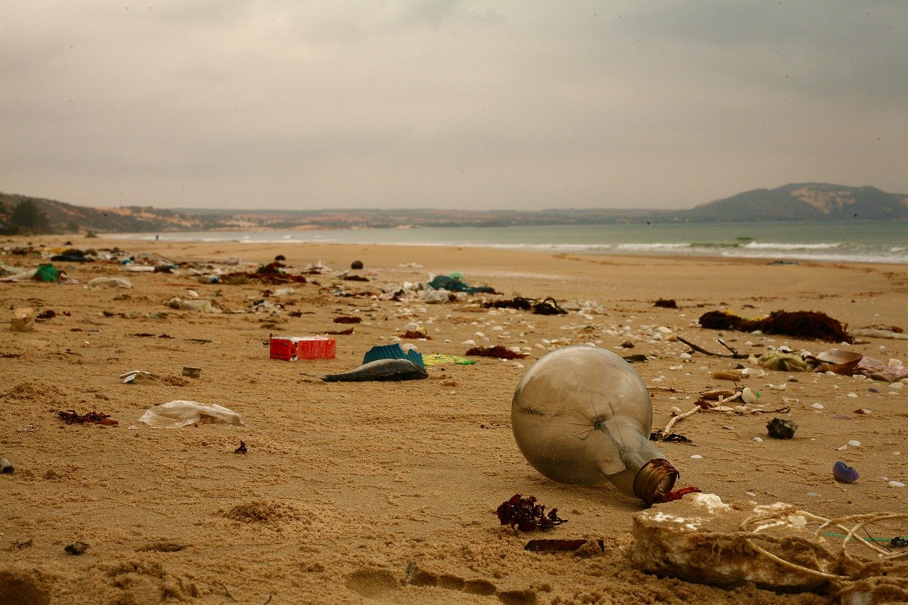 Marine Debris - How Can You Solve the Marine Pollution Problem ...