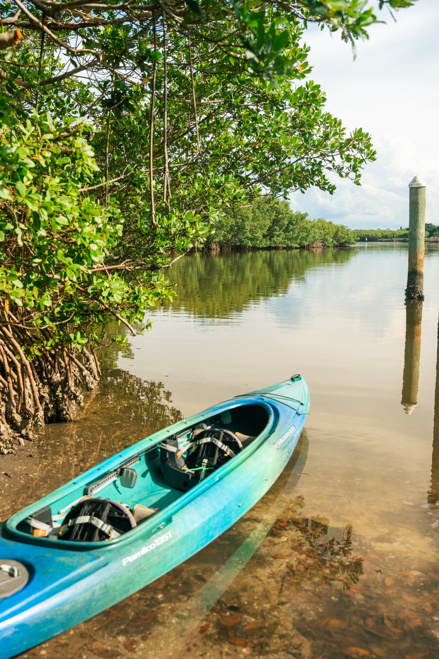 Ecomersion - Ecomersion Connecting People with Nature